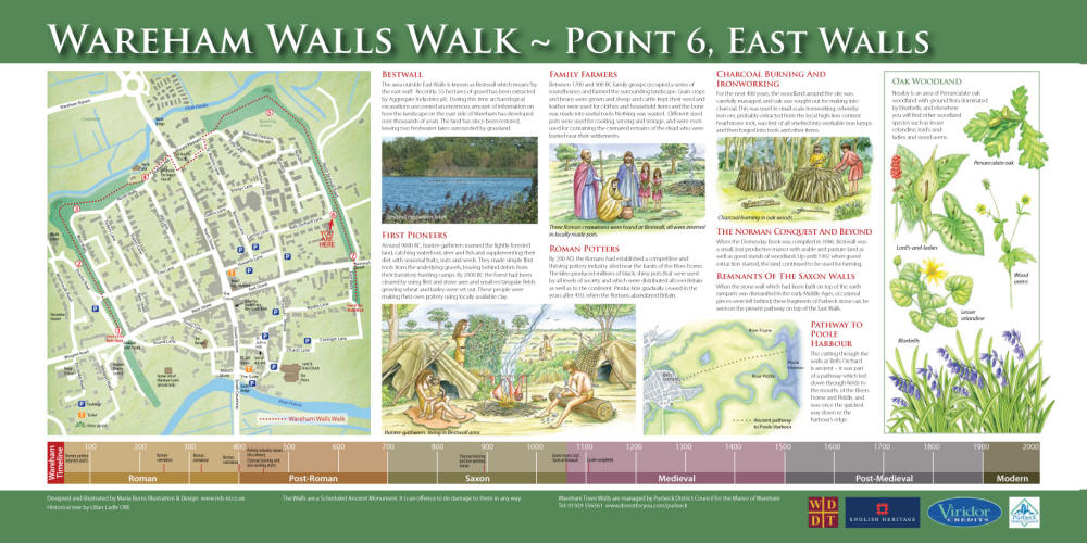 Wareham's Saxon Walls: WAREHAM’S PAST TO BE UNVEILED BY THE LORD ...